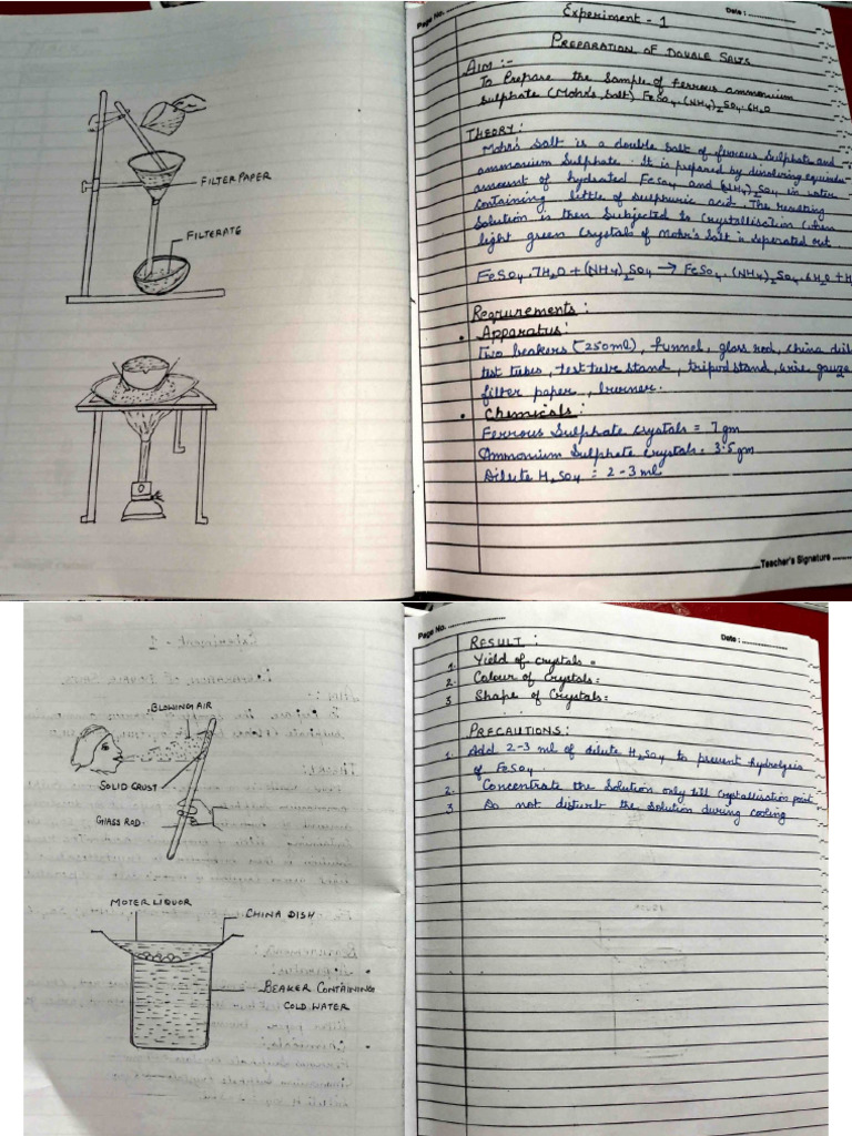 Chem Practical | PDF