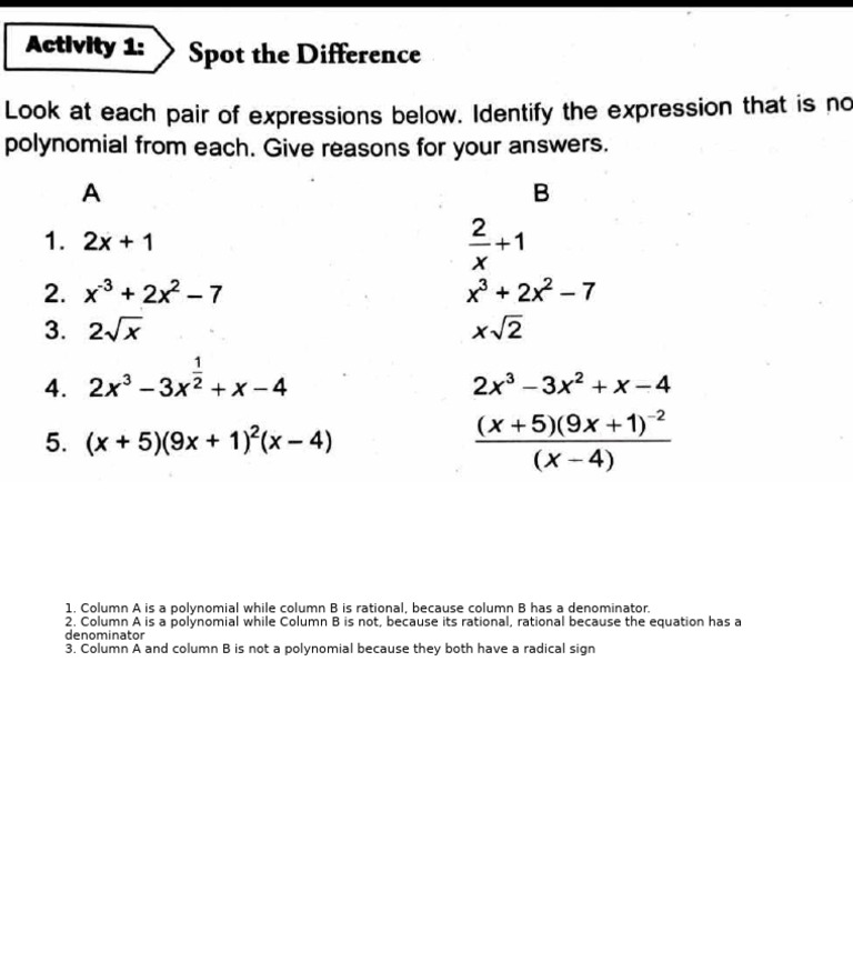 Polynomial vs. Rational Equations | PDF