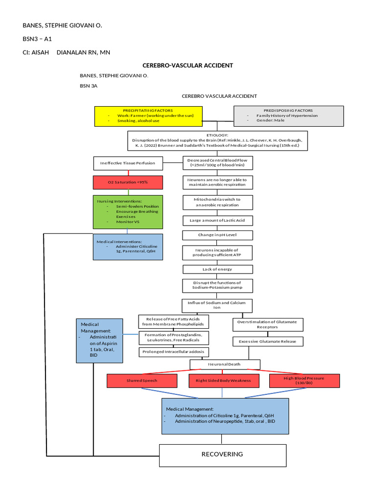 Cva Concept Map | PDF | Human Diseases And Disorders | Angiology