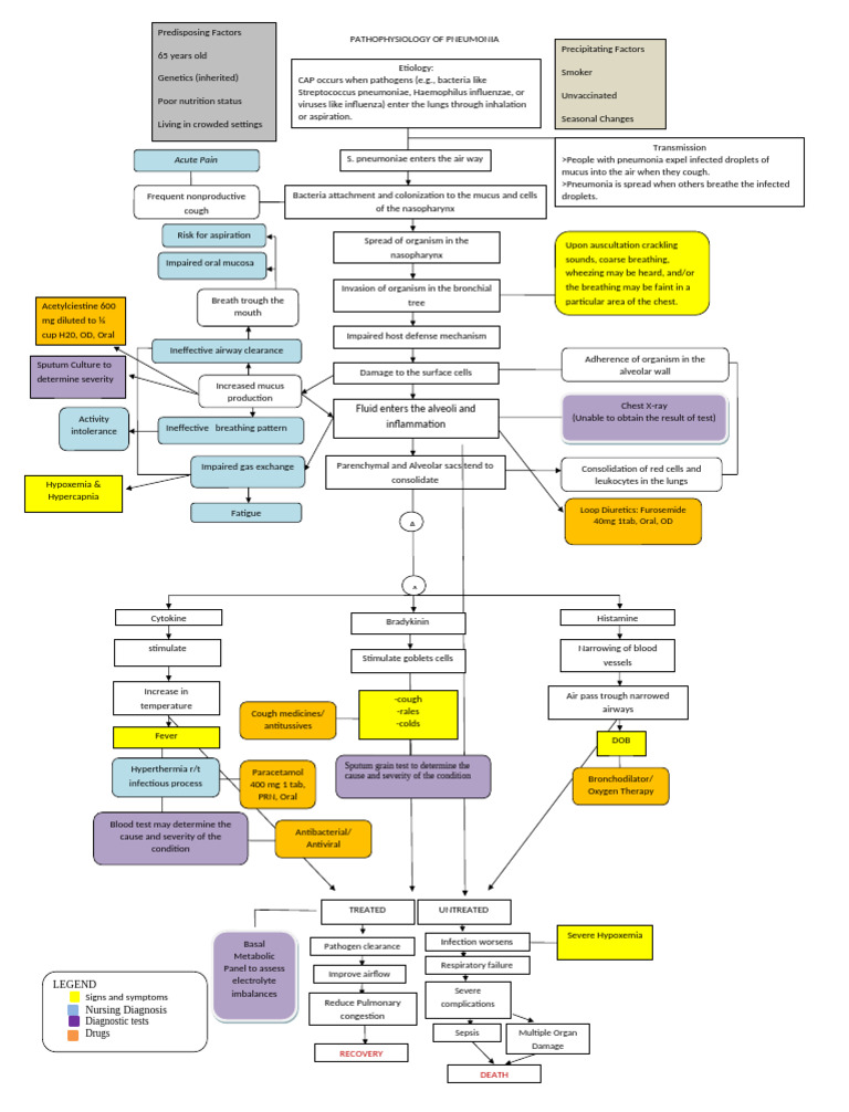 CAP - MR Finished | PDF | Pneumonia | Lung