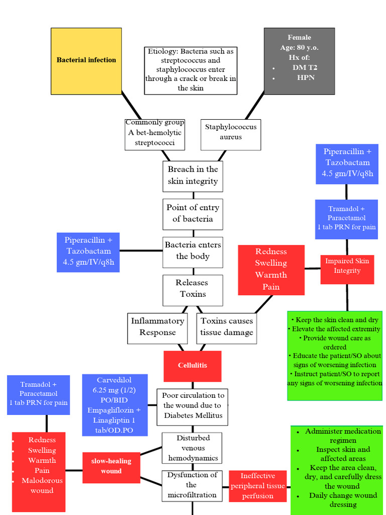 Cellulitis | PDF | Wound | Epidemiology