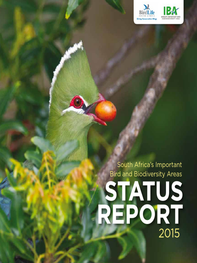 IBA Status Report South Africa 2015 | PDF | Conservation Biology ...