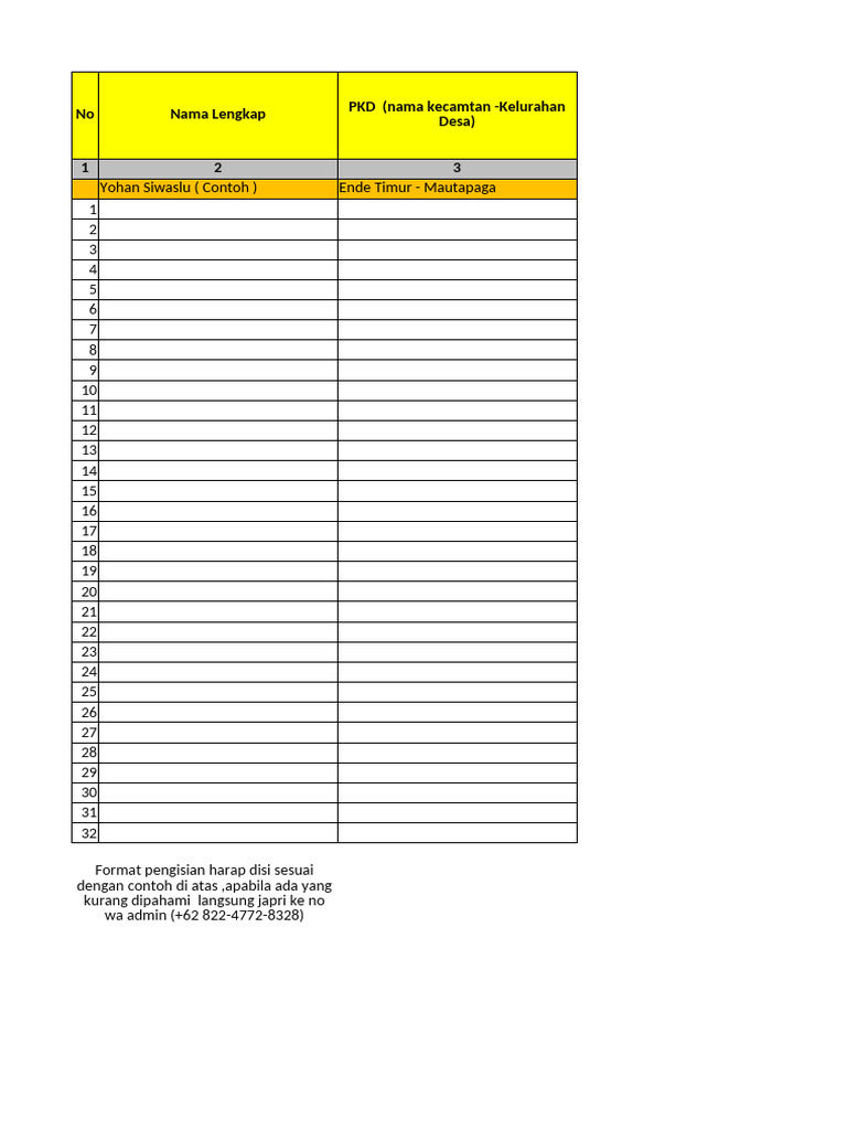 Format XLS PKD 2024 | PDF