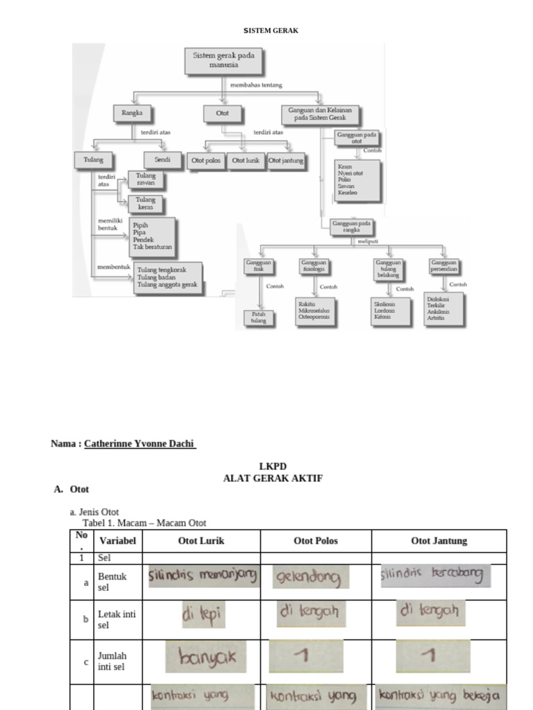 LKPD Alat Gerak Aktif (Otot) | PDF