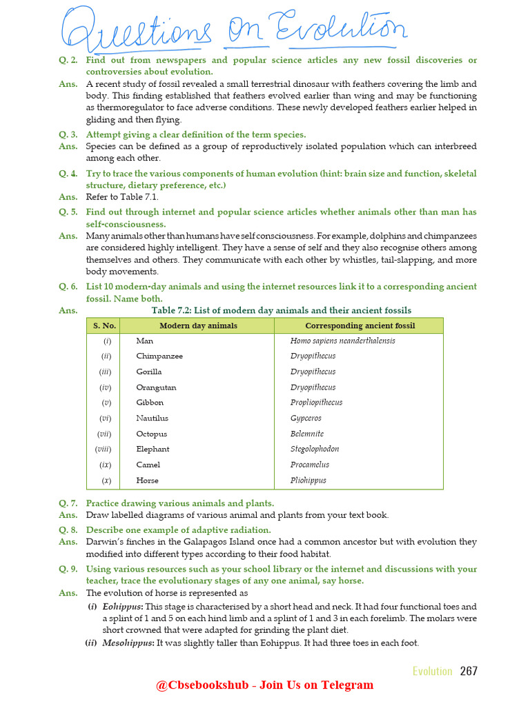 Qns. On Evolution | PDF | Zygosity | Homo
