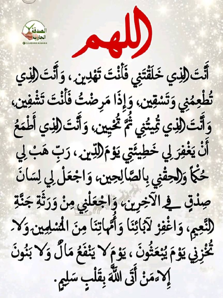 PDF Phoenix 20241125 183428 | PDF