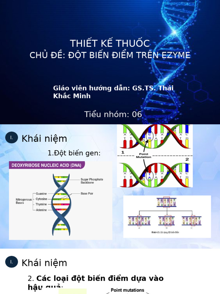 Bản Tóm Tắt Thiết Kế Thuốc Dựa Vào Đột Biến Điểm Trên Enzyme | PDF