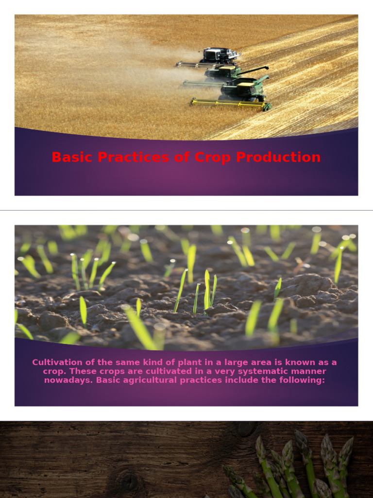 Essential Crop Production Practices | PDF | Soil | Manure