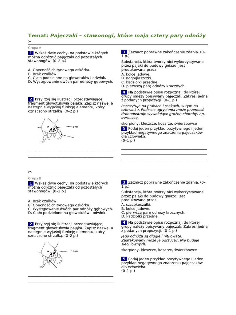 Kartkówka. Biologia. Klasa 6 | PDF