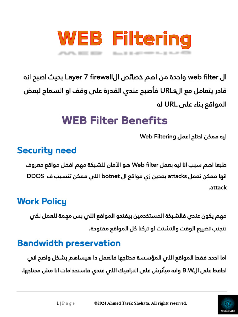 Your Guide To Web Filter | PDF