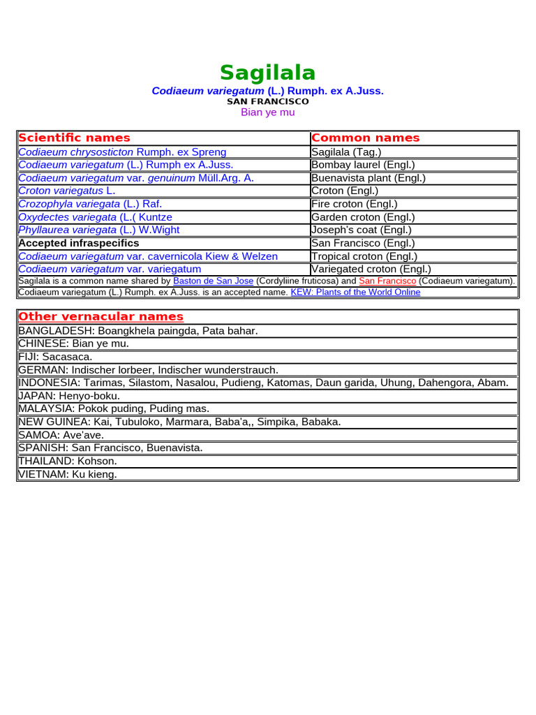 Codiaeum Variegatum: Uses & Benefits | PDF | Plants | Botany