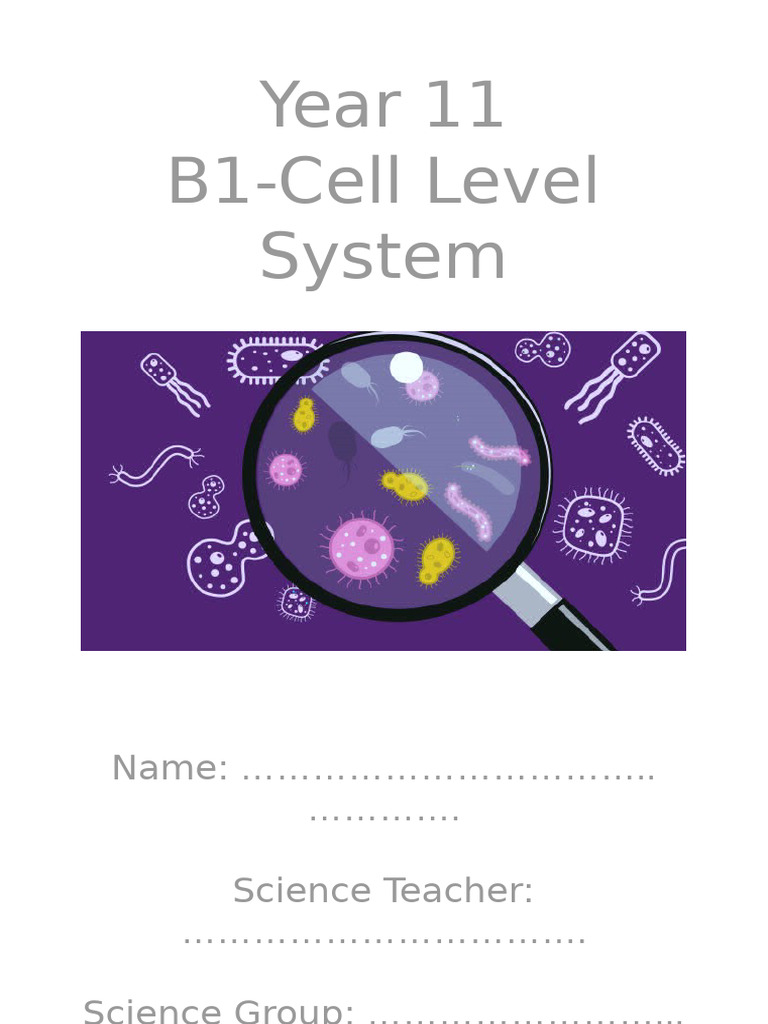 Year 11 Cell Level Systems Guide | PDF | Cell (Biology) | Photosynthesis