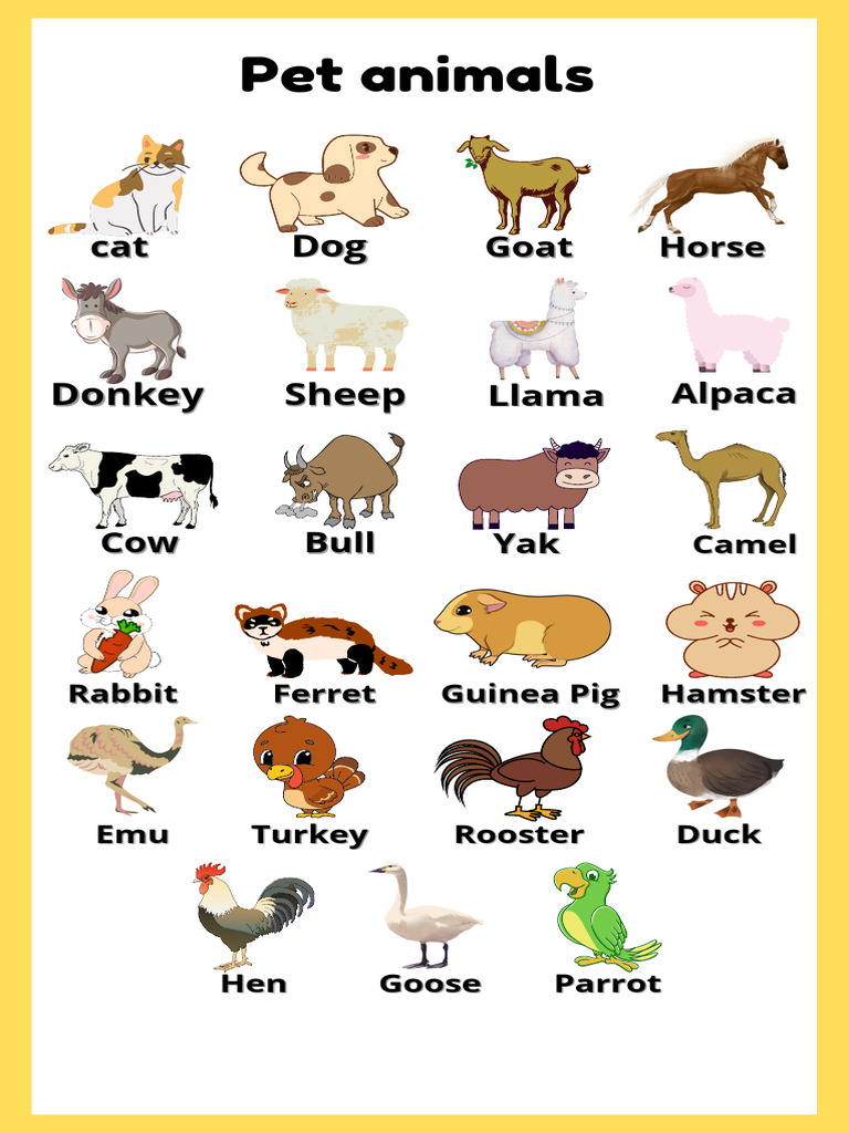 List of Common Pet Animals | PDF