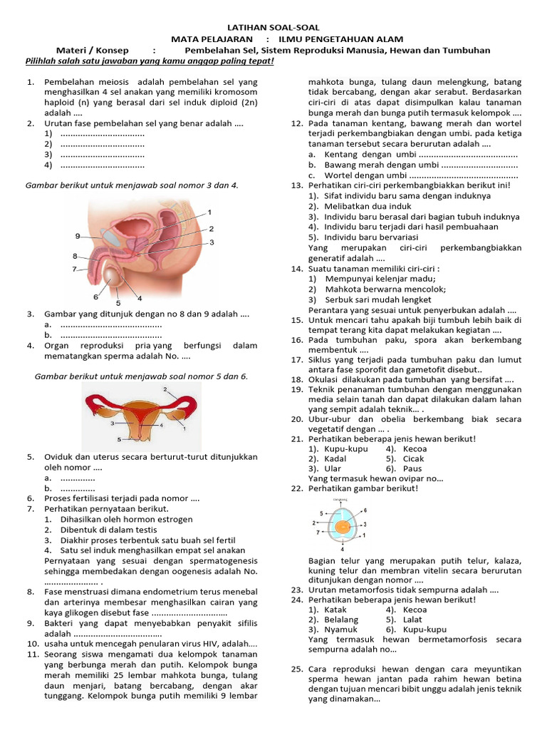 Latihan Soal Ipa PTS Ganjil 2023-2024 | PDF