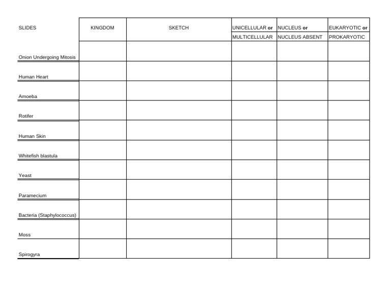 CELL LAB Revised Data Sheet | PDF