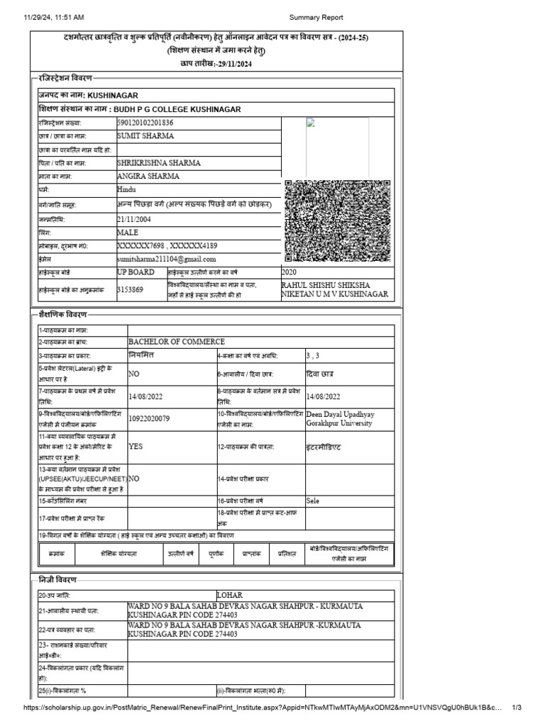 Summary Report | PDF