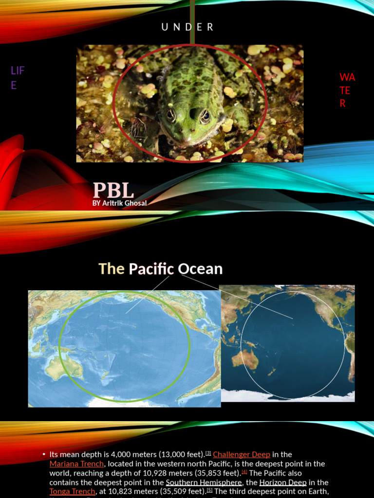 PBL | PDF | Pacific Ocean | Human Impact On The Environment