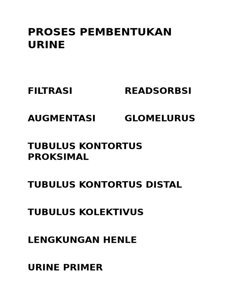 Proses Pembentukan Urine | PDF