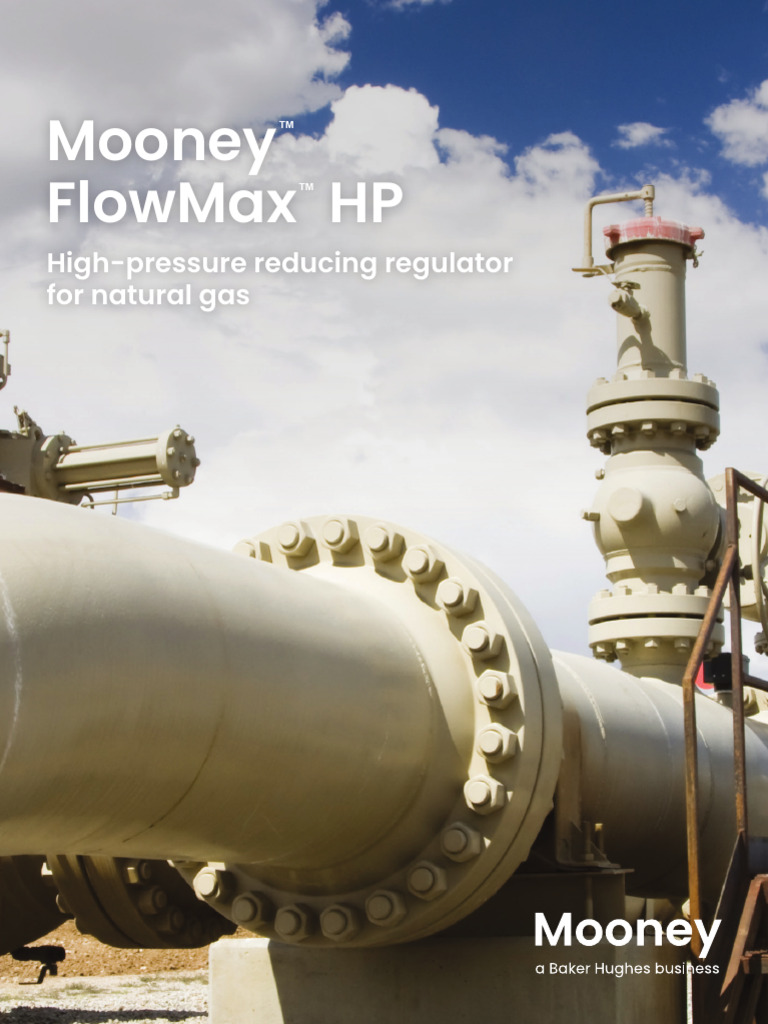 BHMY FlowMax HP BR 34005C X 0722 English | PDF | Mechanical Engineering | Gas Technologies