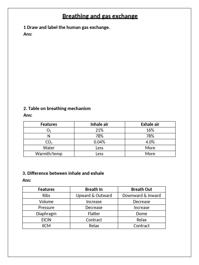 Biology - Breathing and Gas Exchange | PDF | Breathing | Respiration