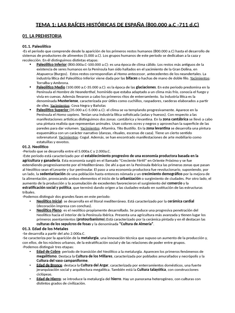 Tema 1 Historia | PDF