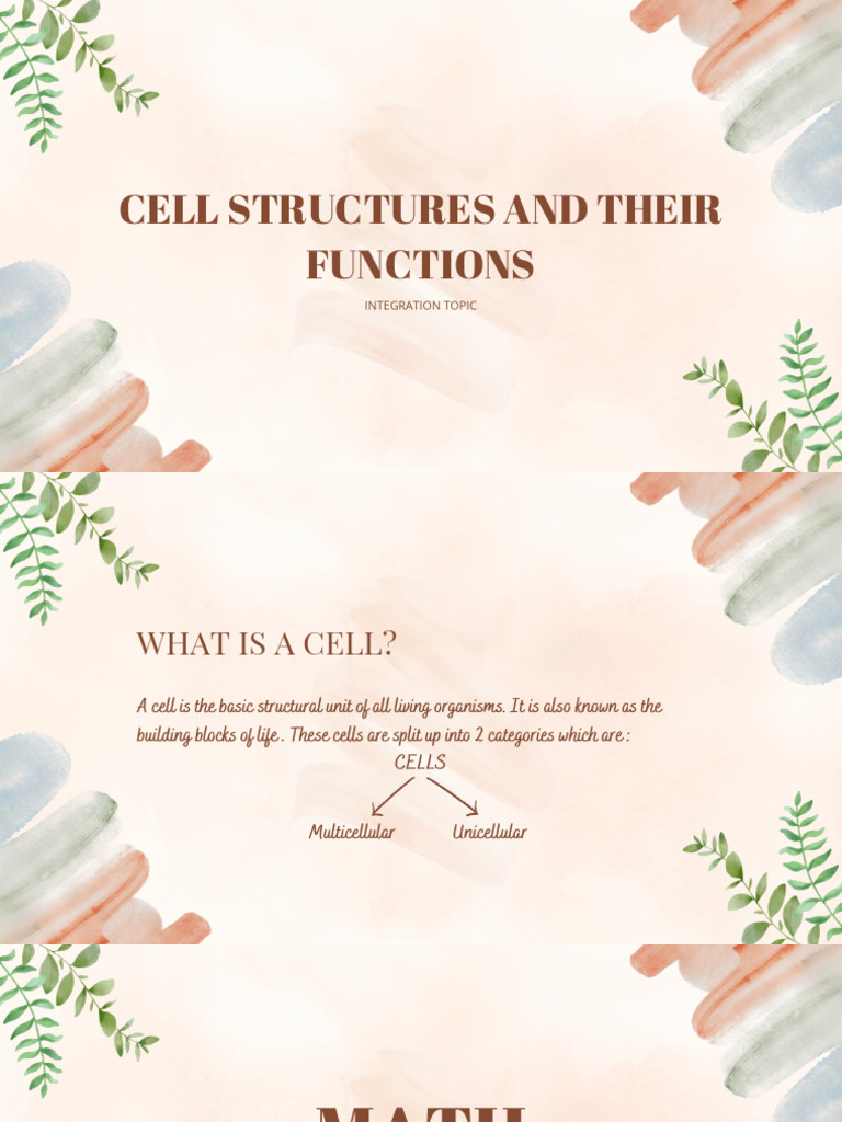 Cell Structures and Functions Explained | PDF | Cell (Biology) | Organisms