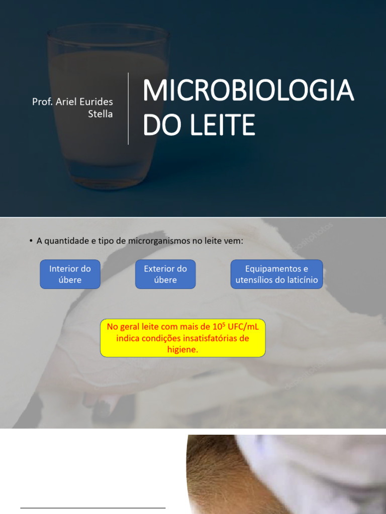 Microbiologia Do Leite e Carne | PDF | Leite | Queijo