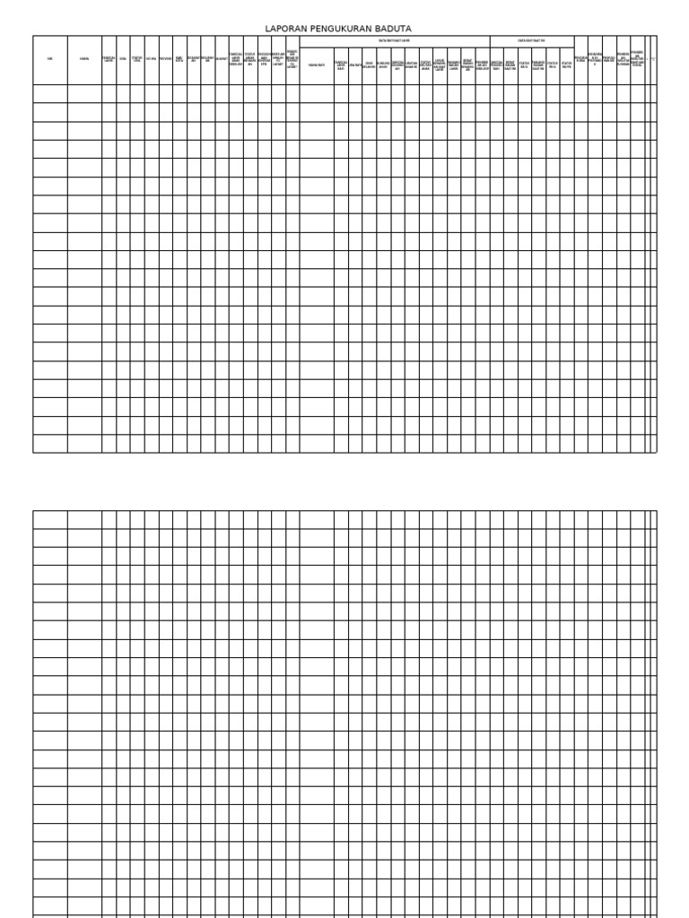 Laporan Baduta | PDF