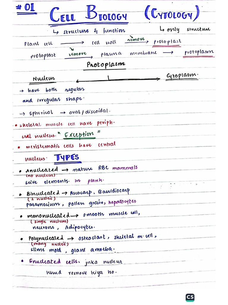 Unit #1 Cell Structure and Function | PDF