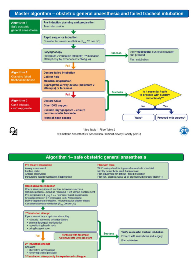 OAA DAS Obstetric Airway Guidelines 2015 Powerpoint | PDF
