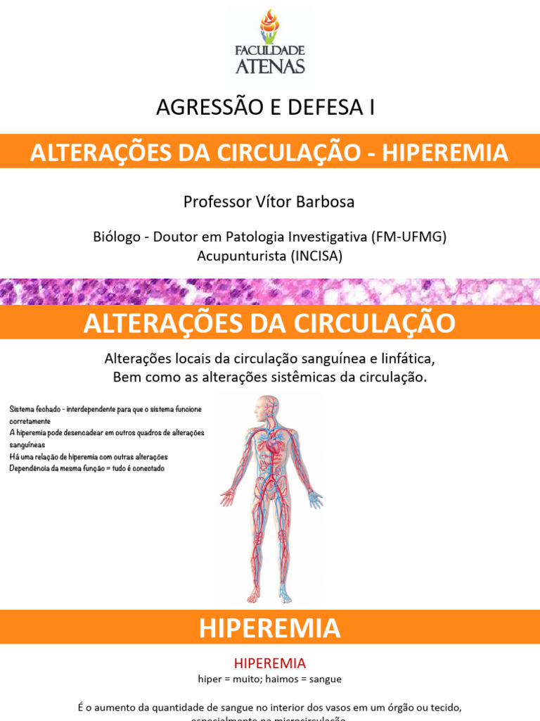 Hiperemia: Tipos e Efeitos na Circulação | PDF | Sistema circulatório ...