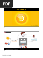 Svelte Media Program Deck - 2023 | PDF | Low Carbohydrate Diet | Fat