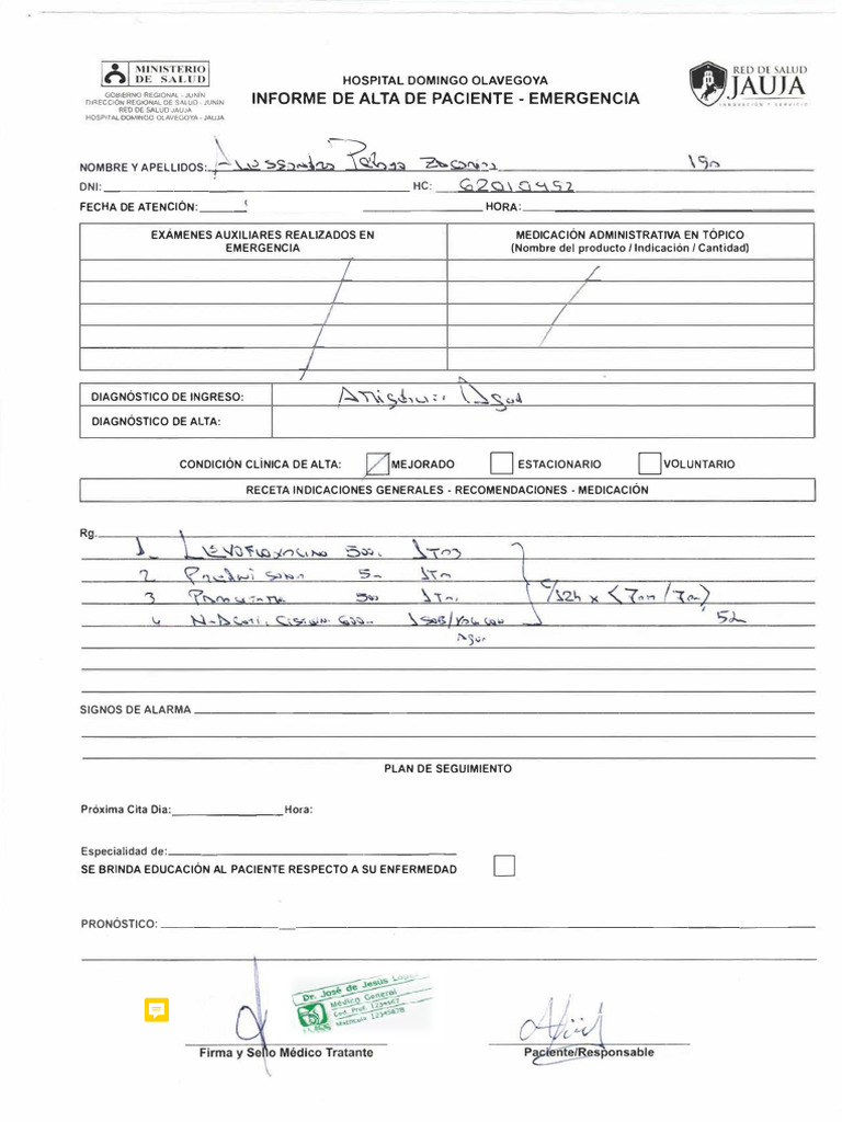 Informe de Alta-3 | PDF