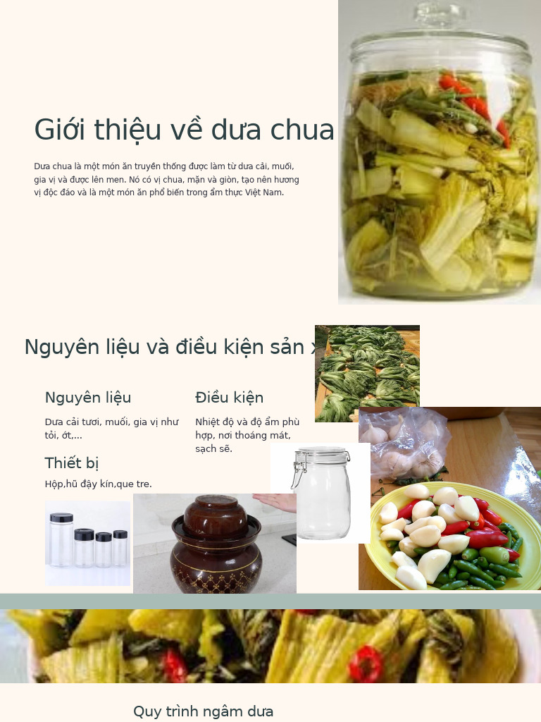 Gioi Thieu Ve Dua Chua | PDF