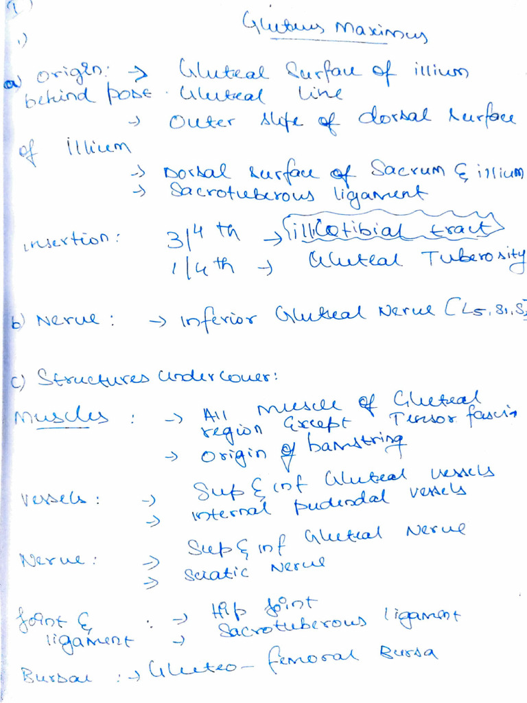 Anatomy Notes Kamesh | PDF