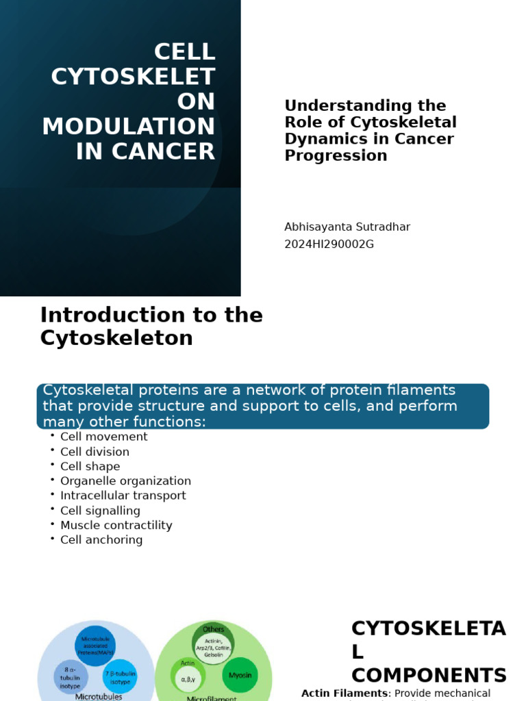 Cell Cytoskeleton Modulation in Cancer 2 | PDF | Cytoskeleton ...