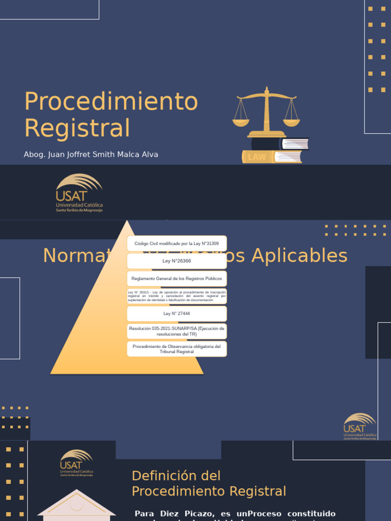 Procedimiento Registral - Clase | PDF | Apelación | Regulación