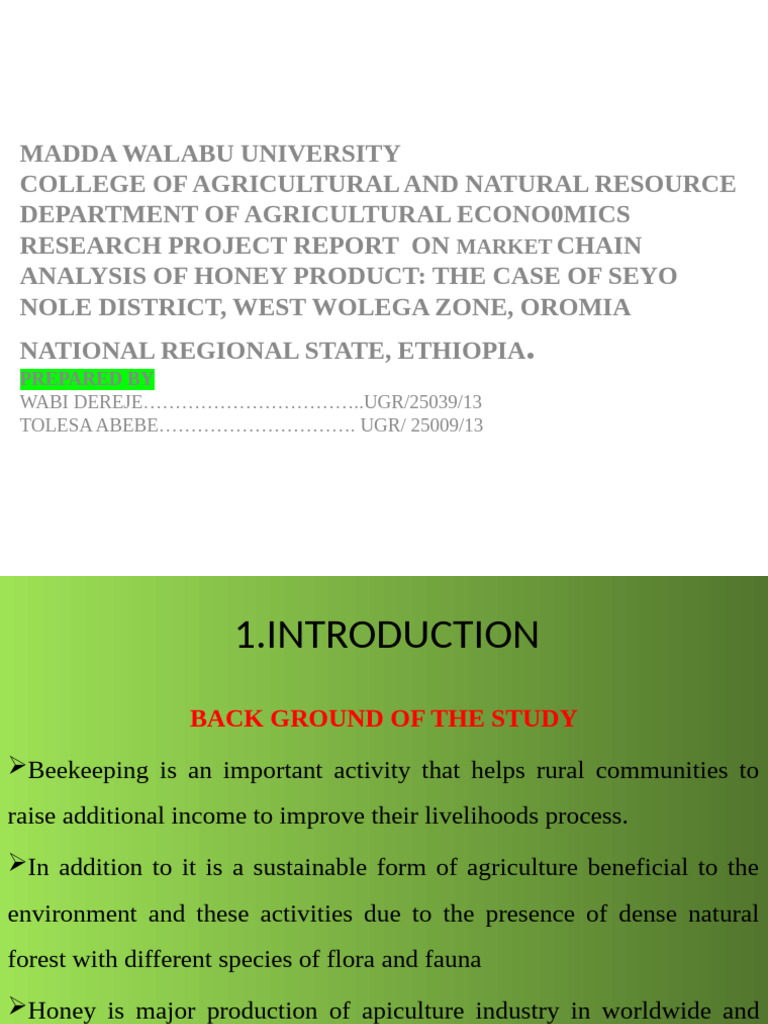 P.research Wabii and Tolesaa | PDF | Beekeeping | Bees
