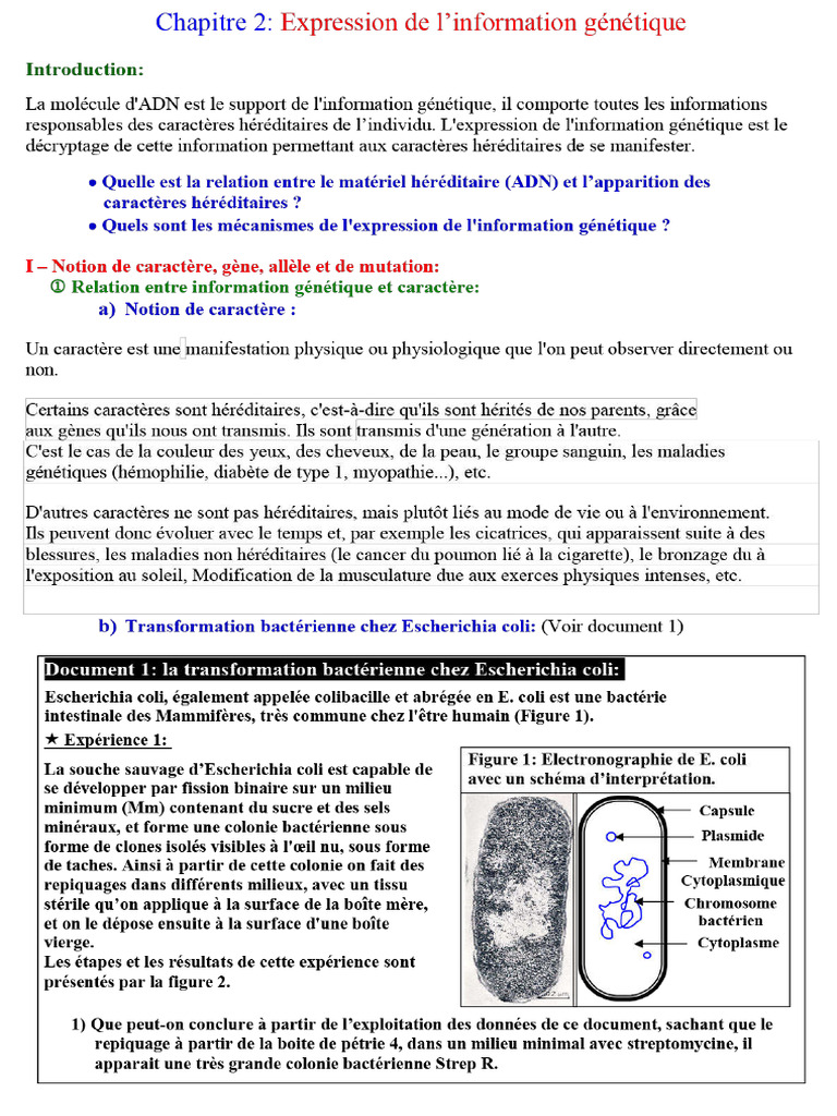 Expression Genetique | PDF