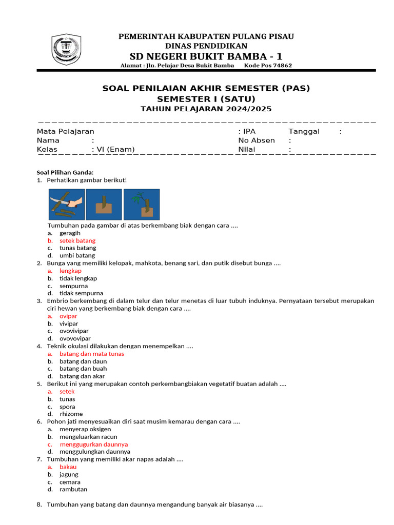 Soal Kelas 6 SMS 1 IPA 2024 | PDF