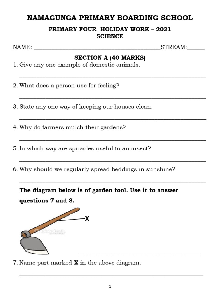 P4 Science Holiday Work 2021 | PDF | Flowers | Plants