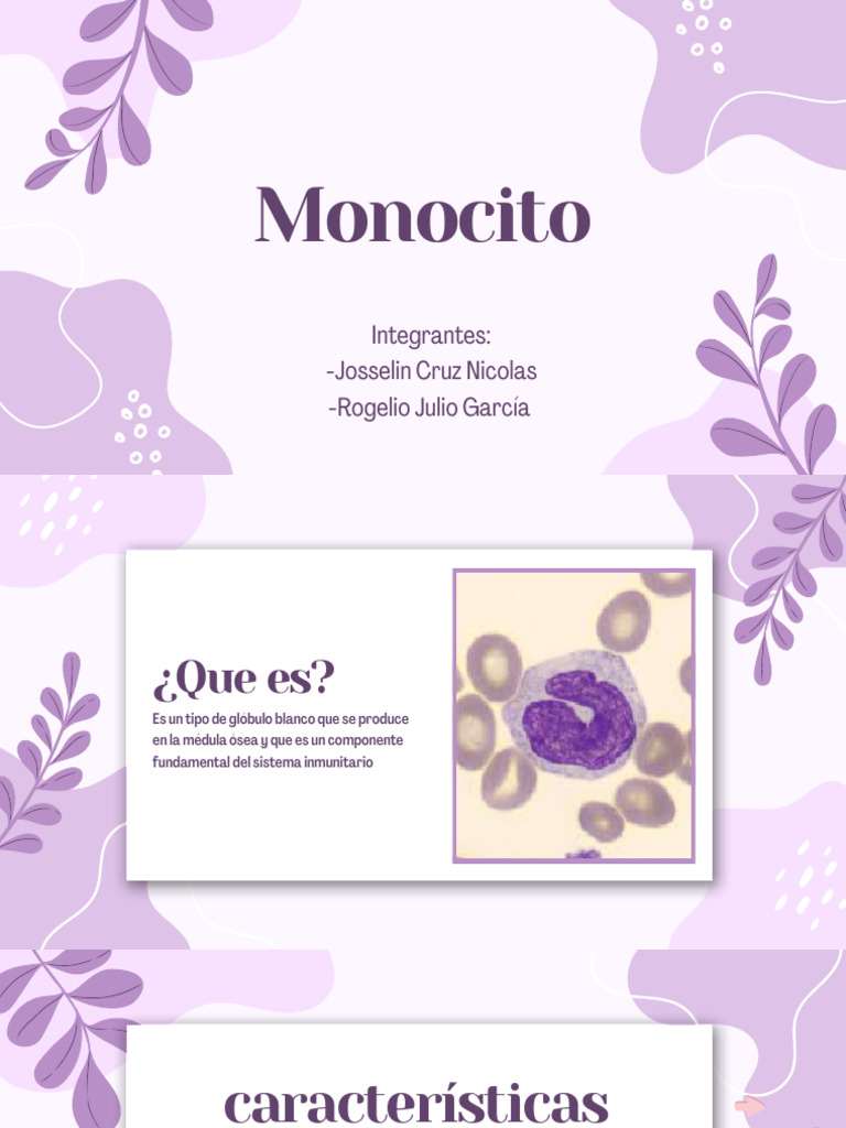 Monocitos: Funciones y Tipos en Inmunidad | PDF | Citocina | Inflamación