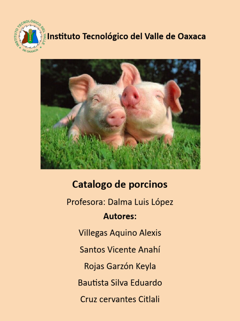 Catalogodecerdos 200124212511 | PDF | Cerdo | Carne