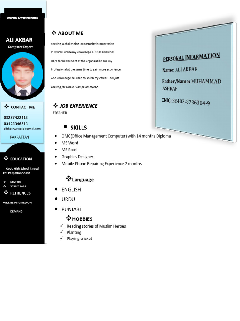 Ali Akbar CV | PDF