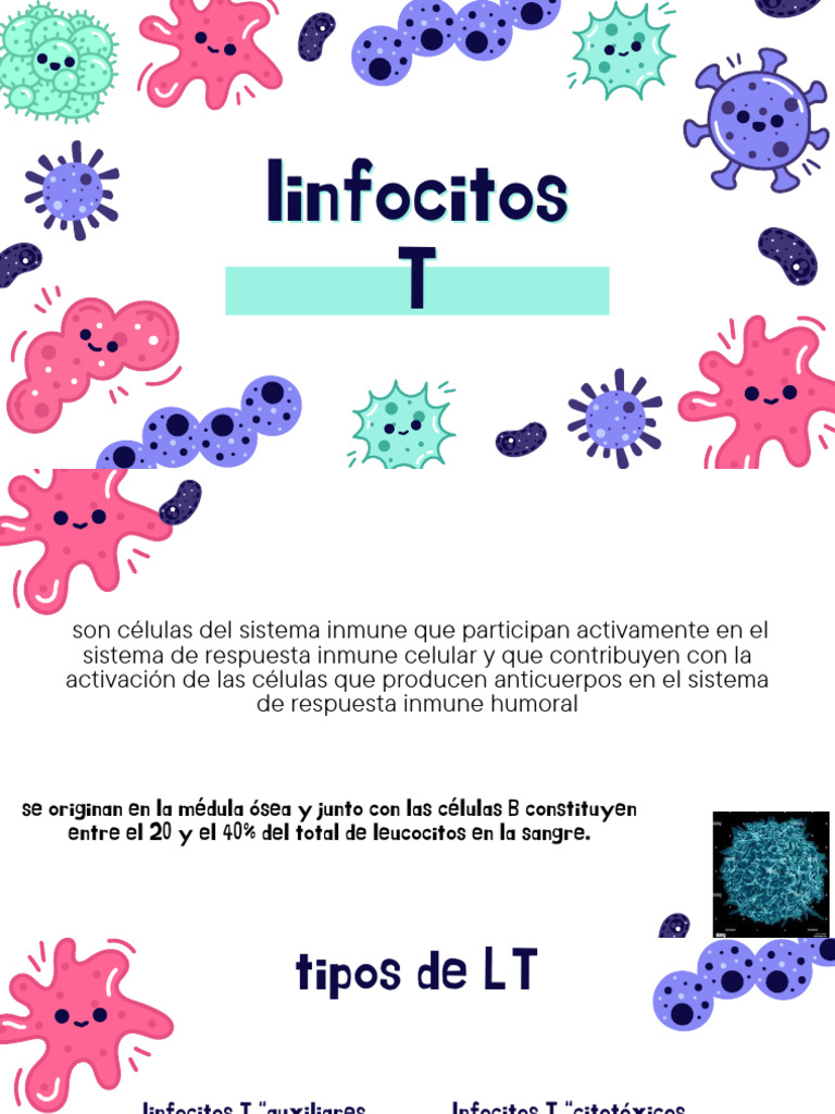 Funciones y tipos de linfocitos T | PDF