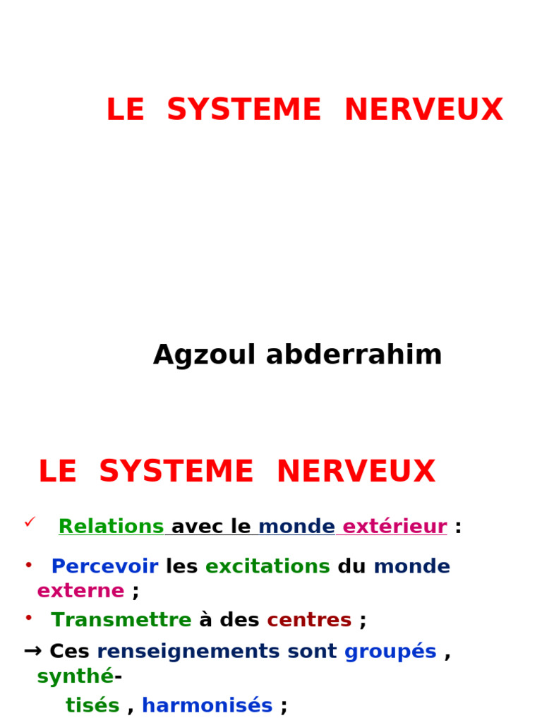 Comprendre le système nerveux humain | PDF | Système nerveux | Nerf