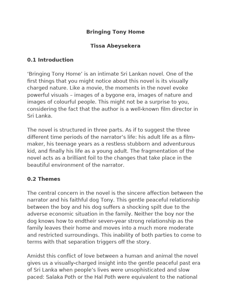 Bringing Tony Home | PDF