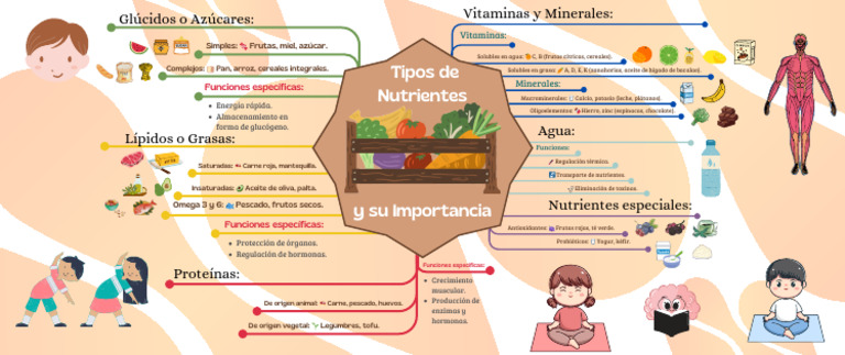 Tipos de Nutrientes | PDF | Nutrientes | gordo