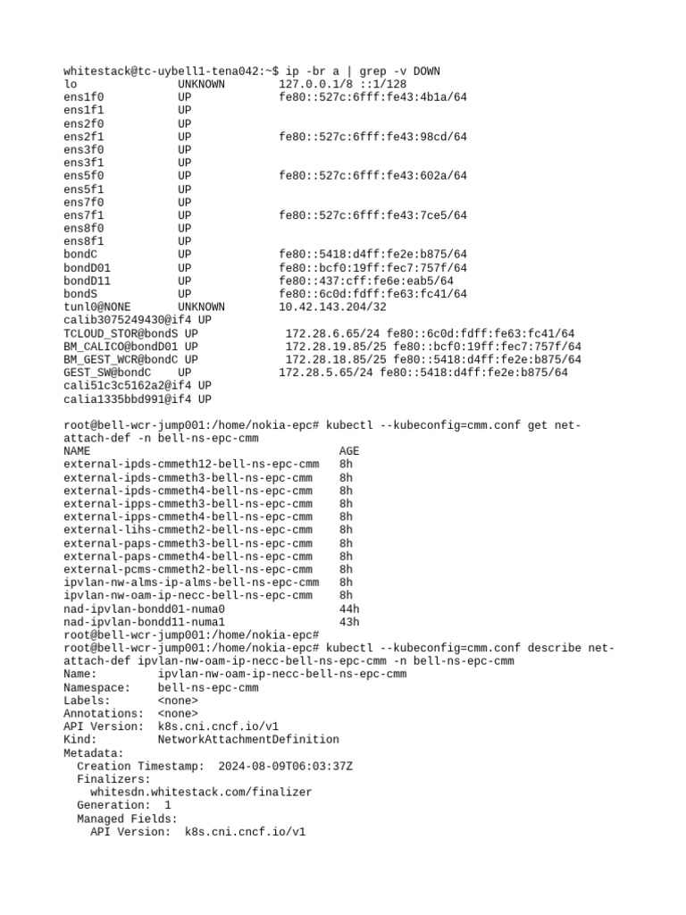 New Text Document | PDF | Computer Programming | Information Technology Management