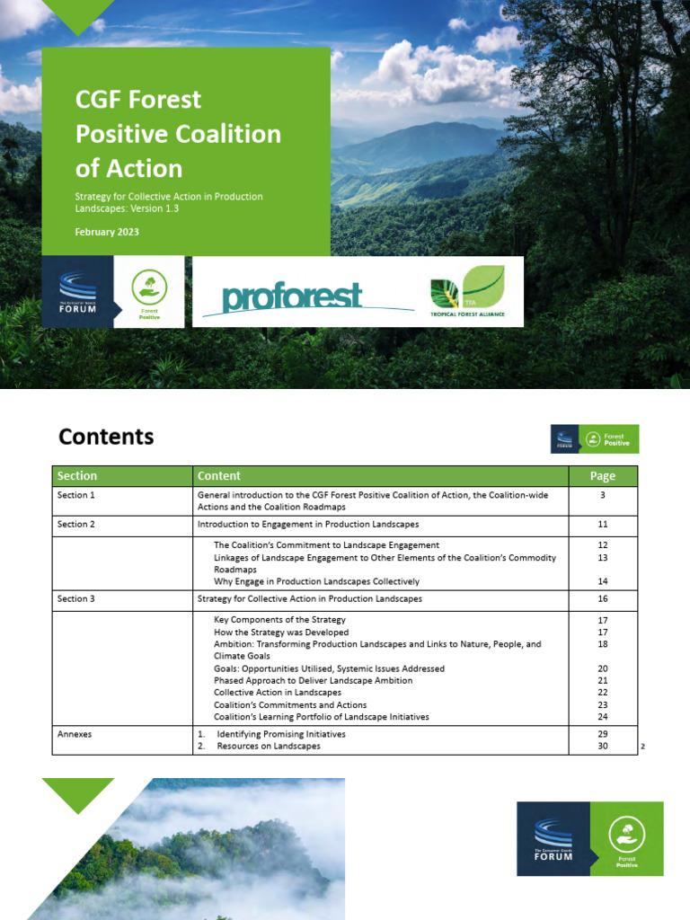 FPC Landscape Strategy 2021 - Coalitive - Action in Production ...
